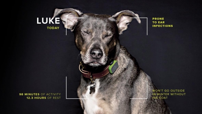 Mars Petcare | Mars, Incorporated